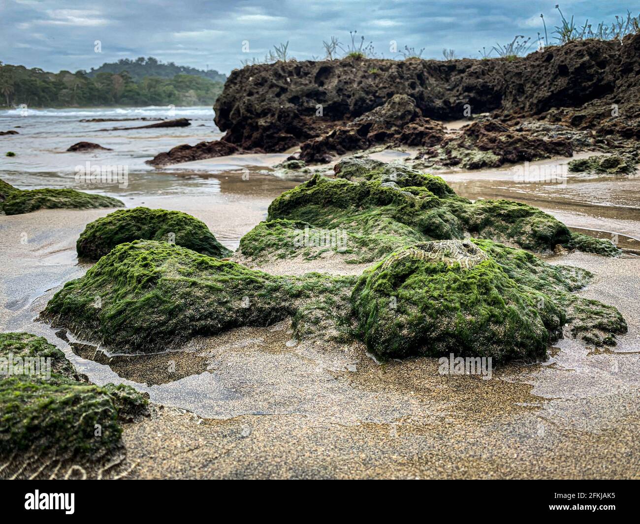 An eerie scenery of the mossy rocks on the beach in Costa Rica Stock ...