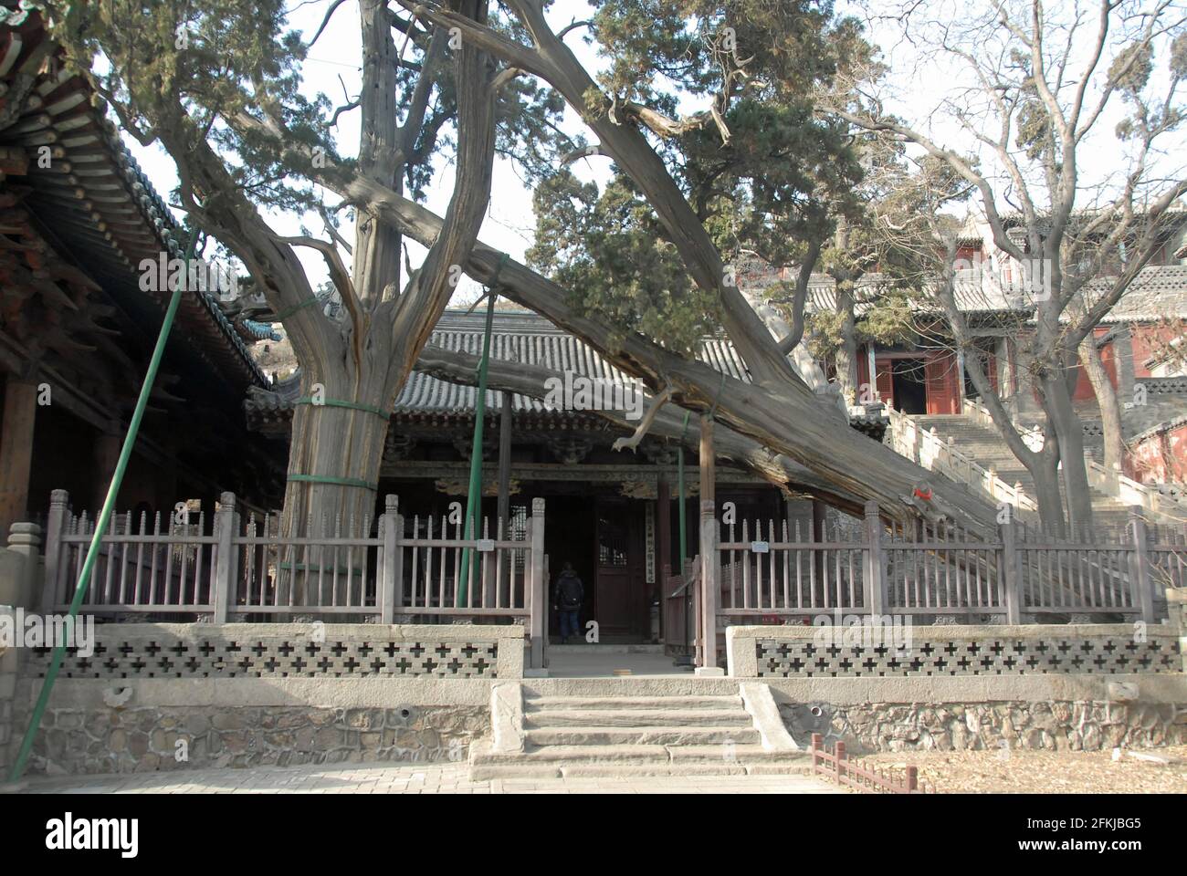 Ancient buildings of tang huai hi-res stock photography and images - Alamy