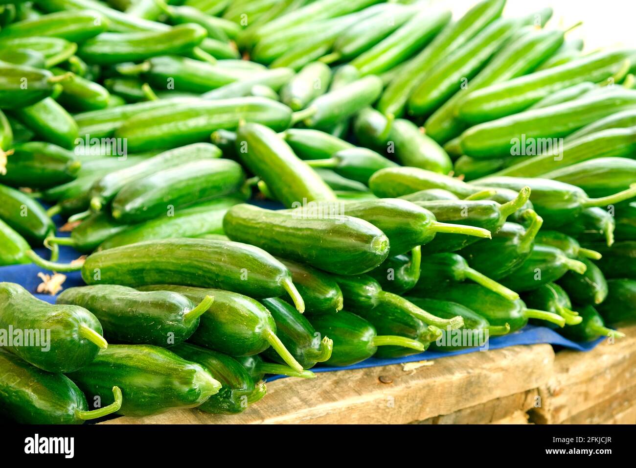 Big pile of fresh green organic cucumbers, nice & clean. Harvest heap ...
