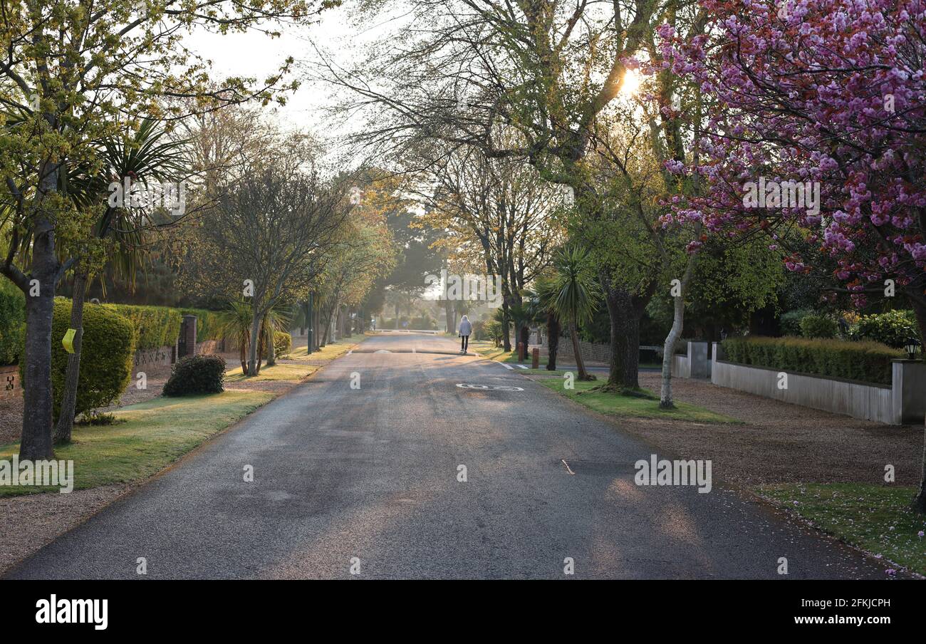 Suburban street, England, UK Stock Photo - Alamy