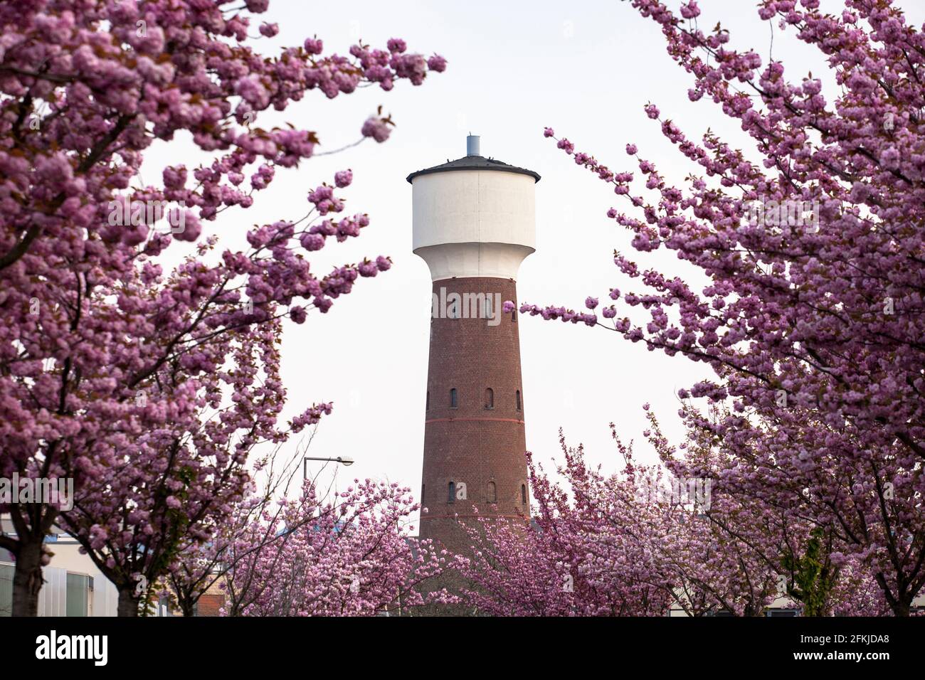 water tower of the former chemical factory Kalk at the shopping mall ...