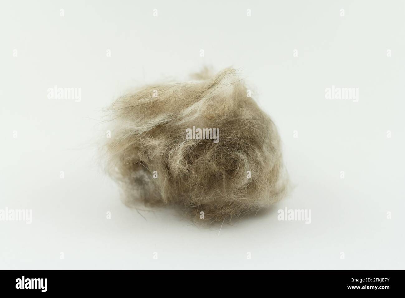 cat hair clump isolated on white, Long hair cat maintenance Stock Photo ...