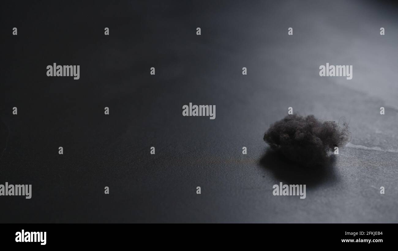 Dust ball hi-res stock photography and images - Alamy