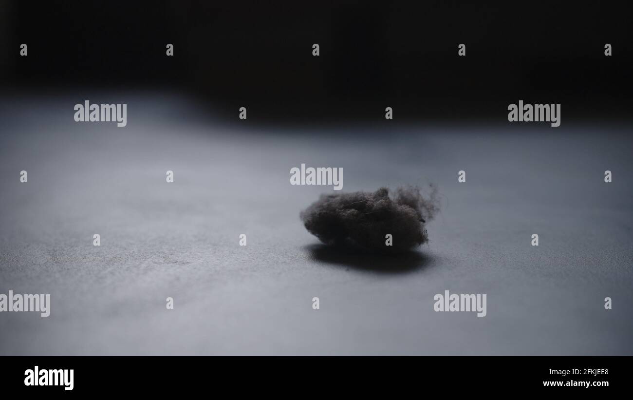 Dust ball hi-res stock photography and images - Alamy