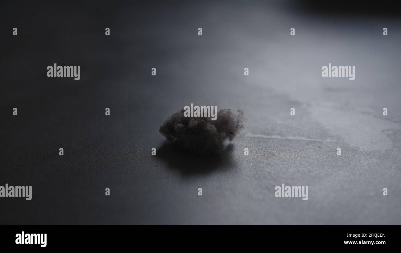 Dust ball hi-res stock photography and images - Alamy