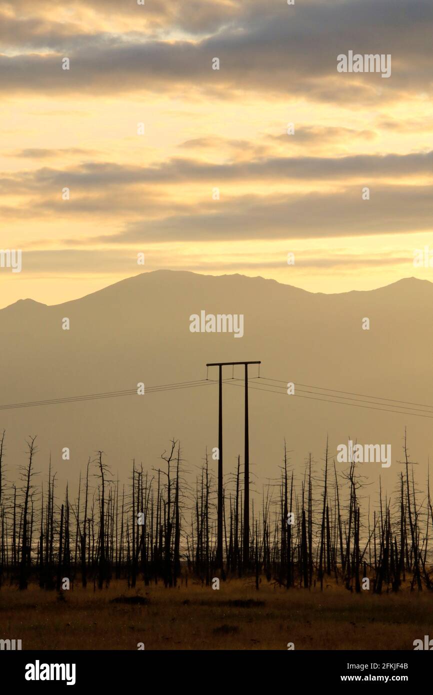 Evening scene outskirts Anchorage Alaska USA Stock Photo - Alamy