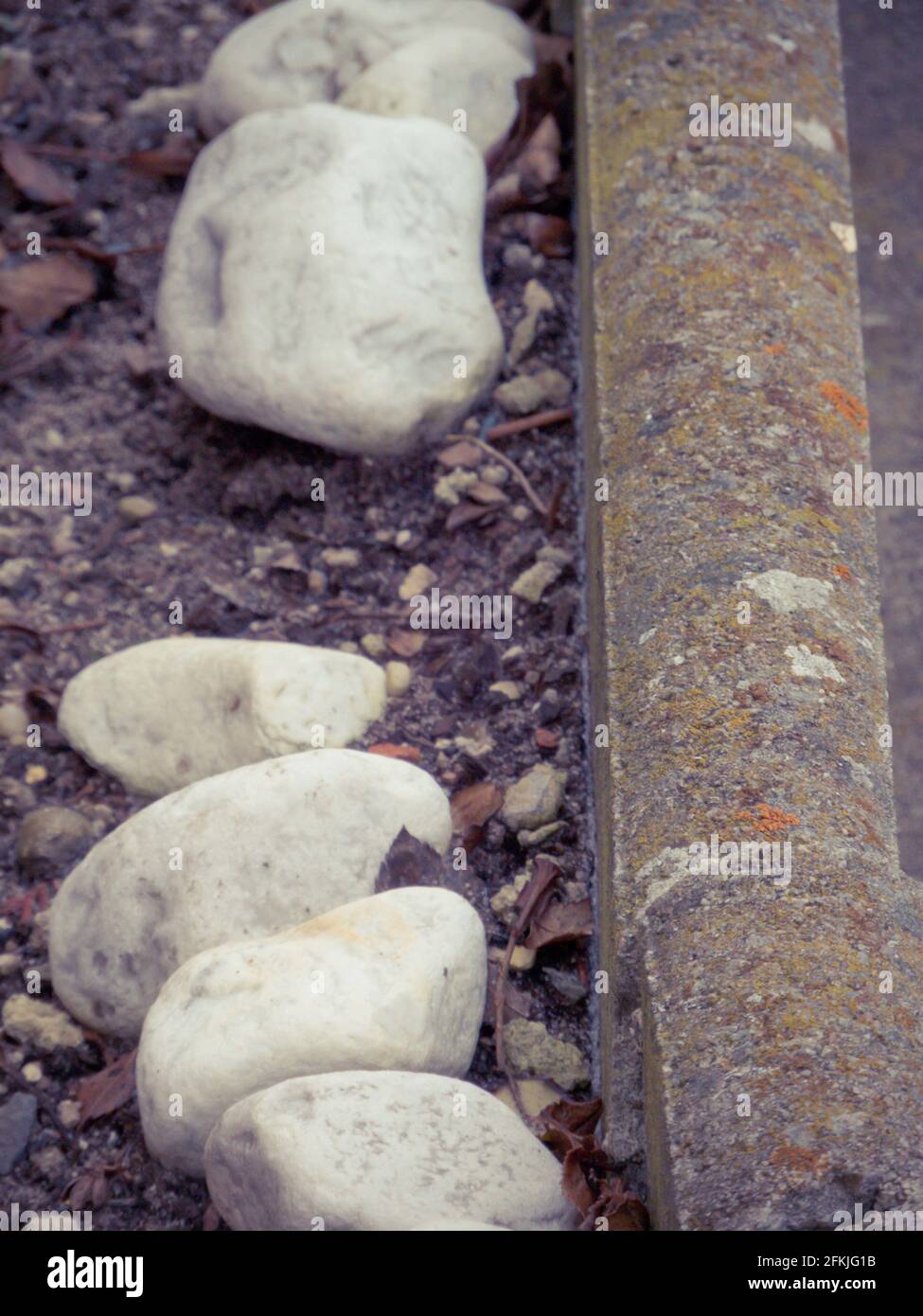 Rough white stones and dried leaves by the weathered sidewalk border ...