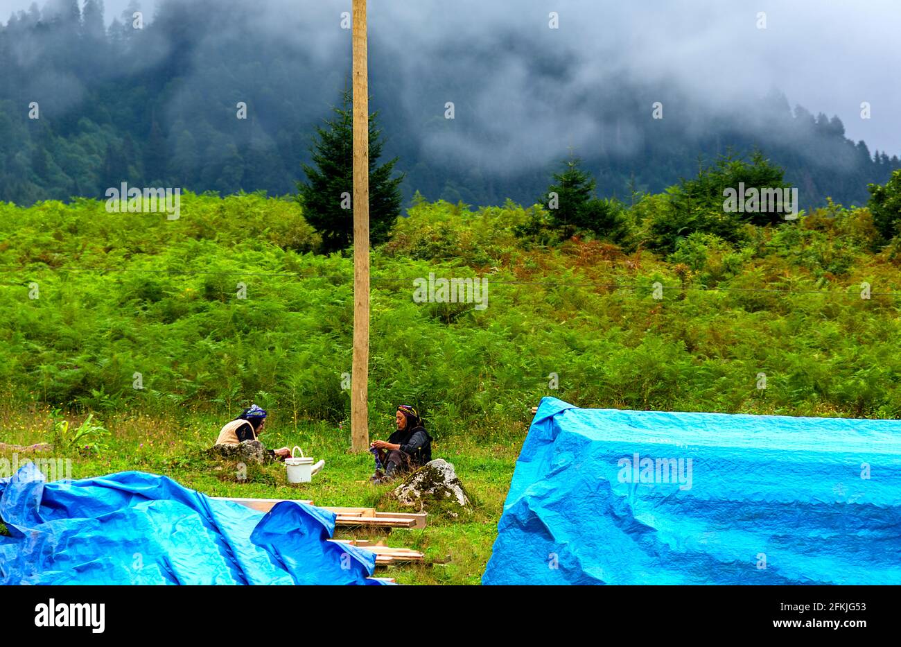 08,15,2018,Rize,Turkey,hardworking black sea woman knitting socks by ...