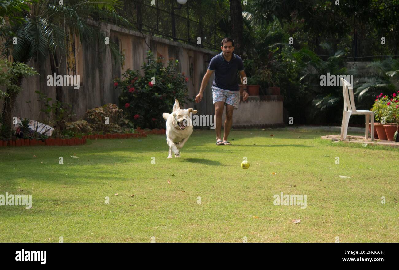 Chase a ball hi-res stock photography and images - Alamy