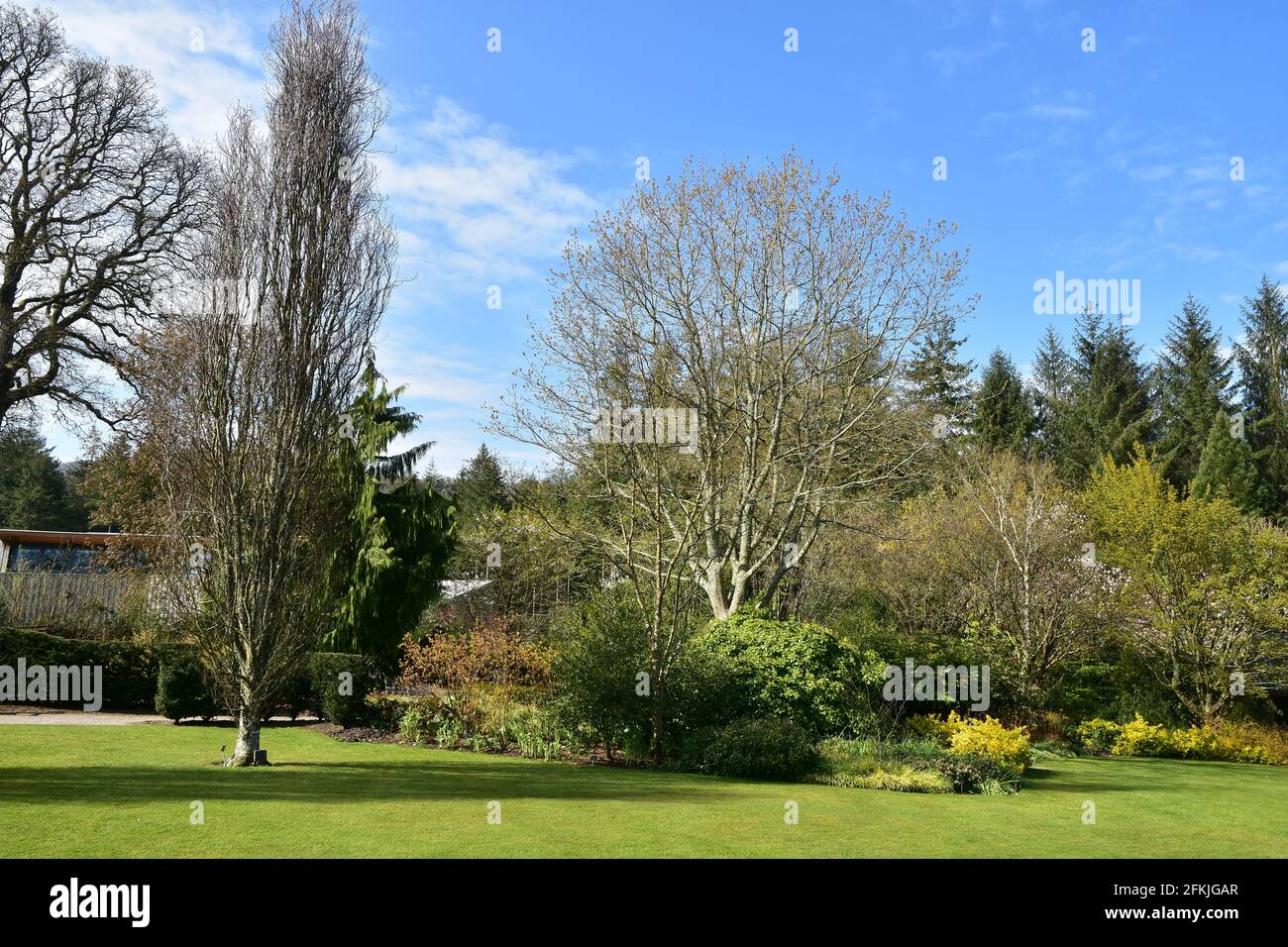 RHS Rosemoor Gardens, North Devon in Spring sunshine Stock Photo - Alamy