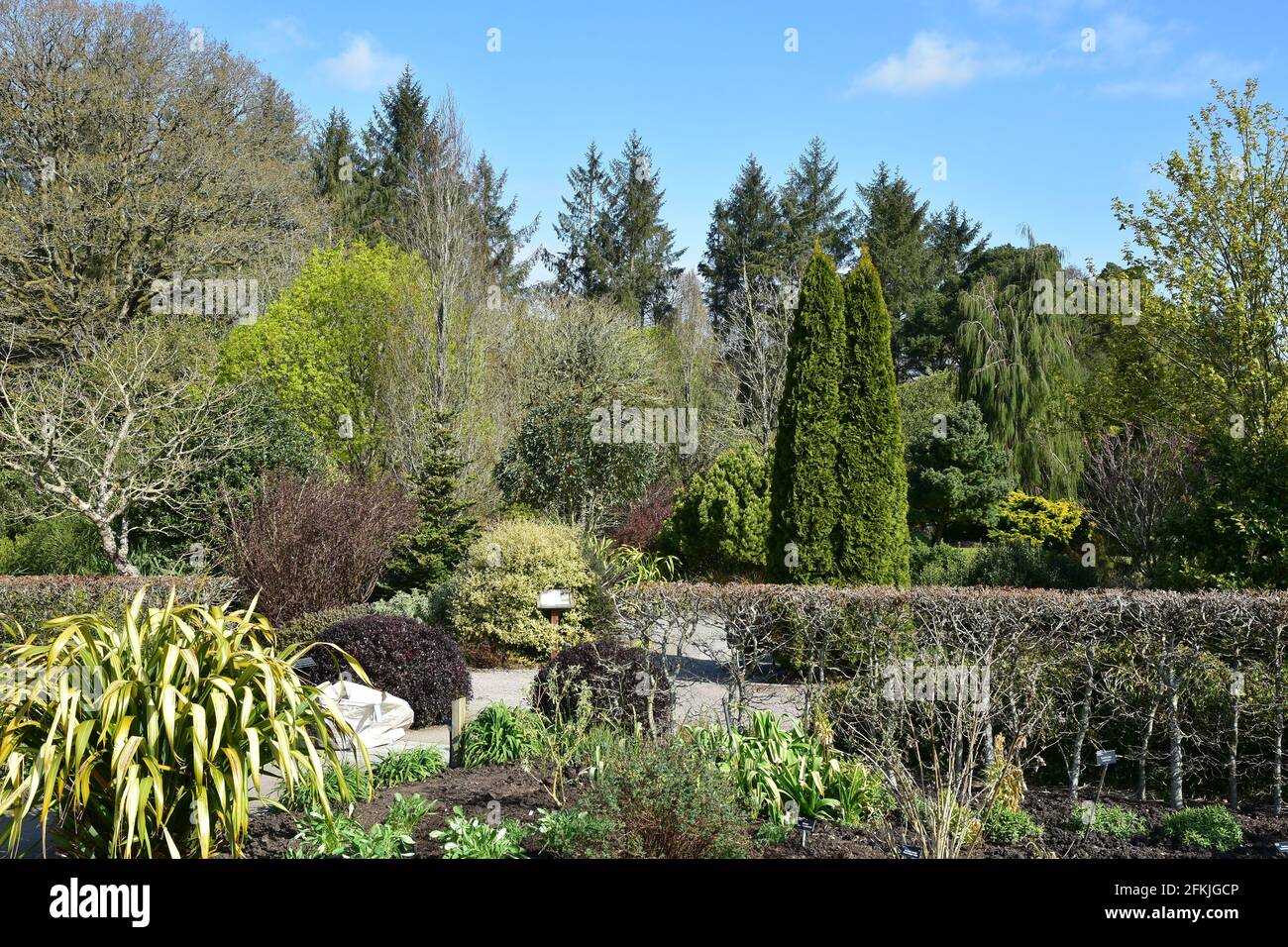 Flower pot men, RHS Rosemoor Gardens, North Devon in Spring sunshine ...