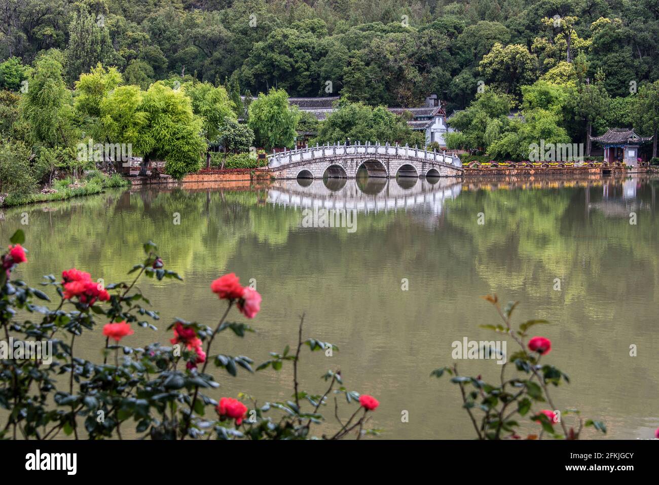 Black Dragon Pool with Suocui Bridge in Jade Spring Park of Lijiang ...