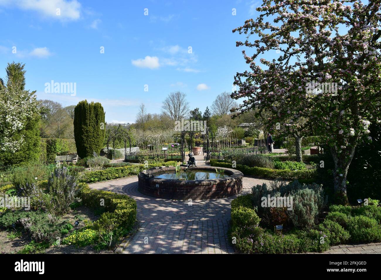 RHS Rosemoor Gardens, North Devon in Spring sunshine Stock Photo - Alamy