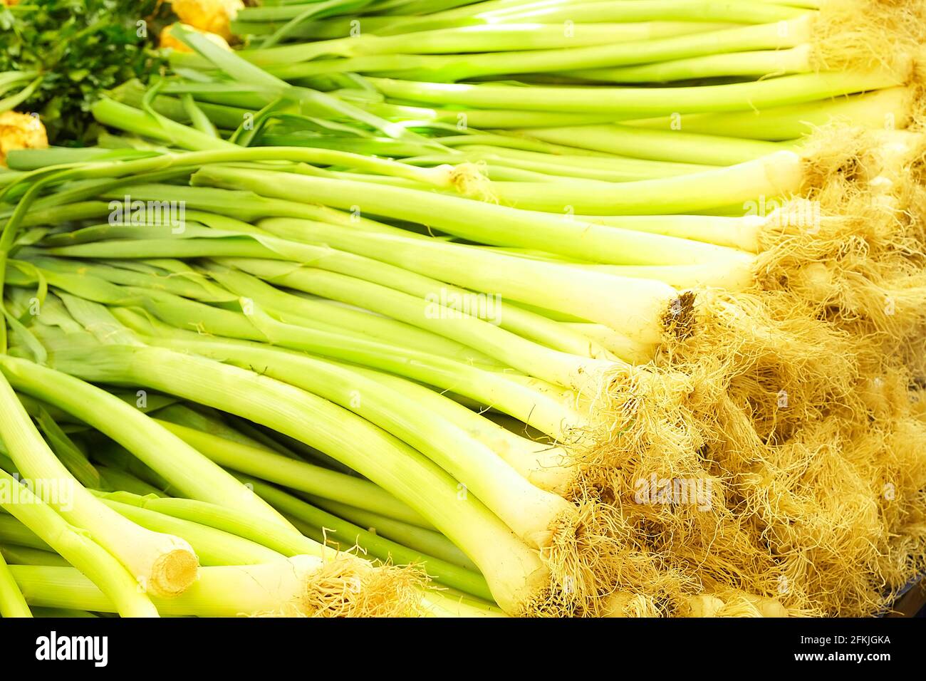 harvest heap pile of green healthy organic leek vegetables stacked for ...