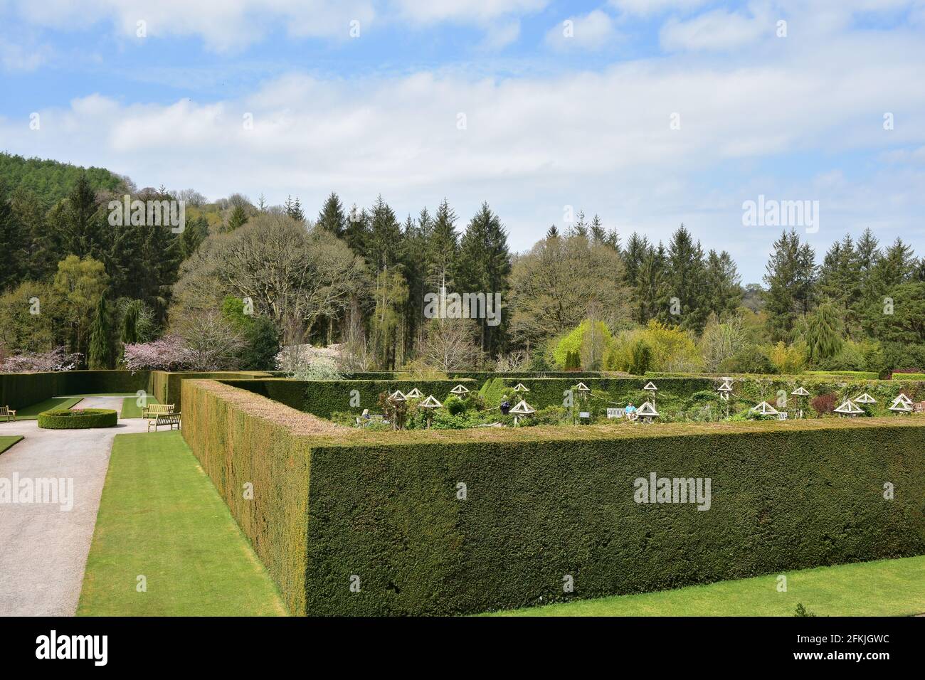 RHS Rosemoor Gardens, North Devon in Spring sunshine Stock Photo - Alamy