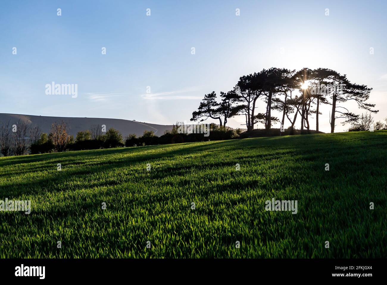Evening light over a South Downs rural landscape, on a sunny spring ...