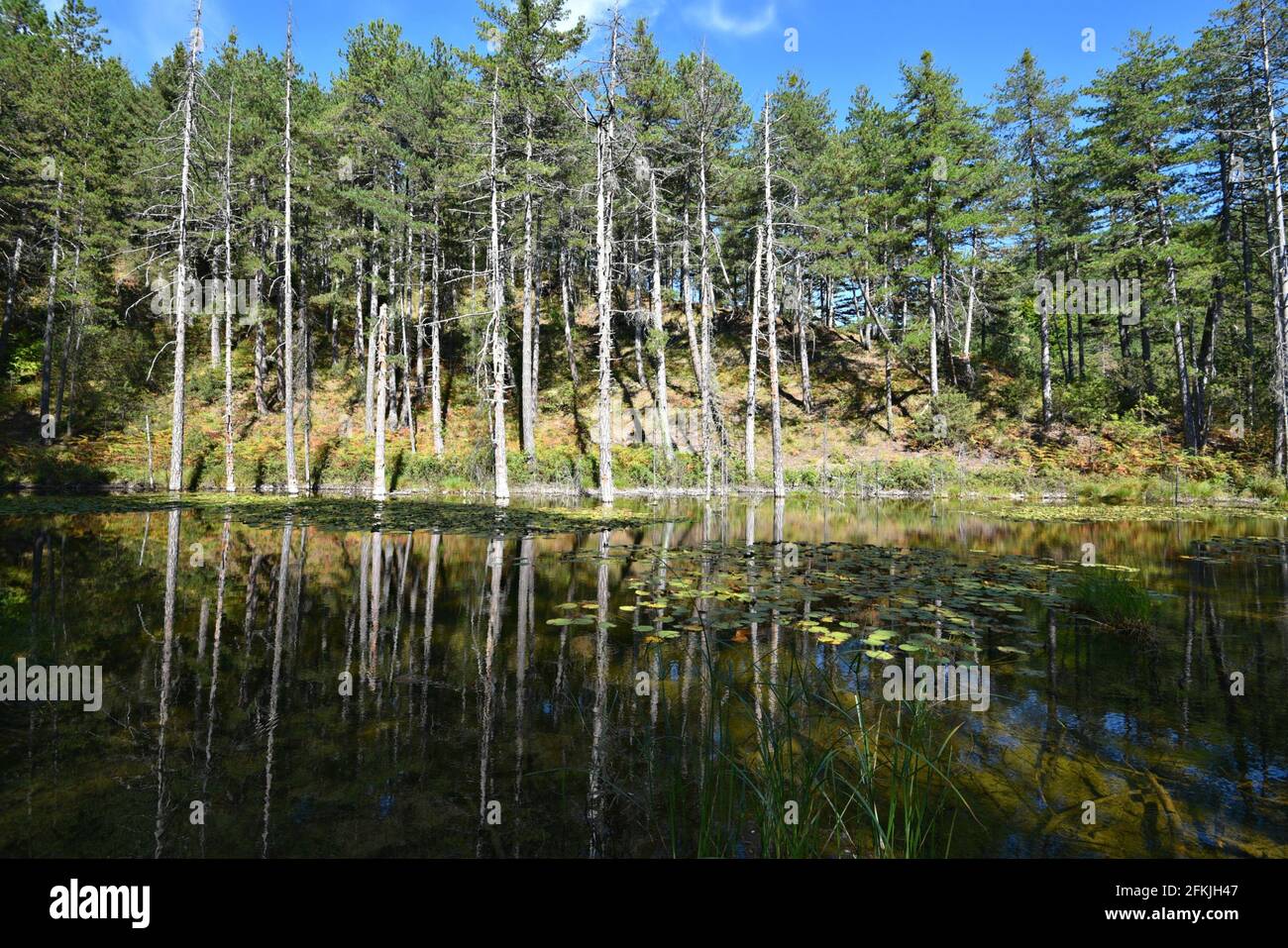 Zorika lake hi-res stock photography and images - Alamy