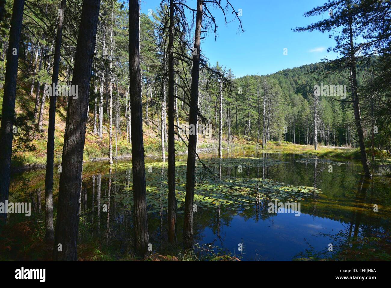 Landscape with panoramic view of Zorika, a water lilies' lake in the ...