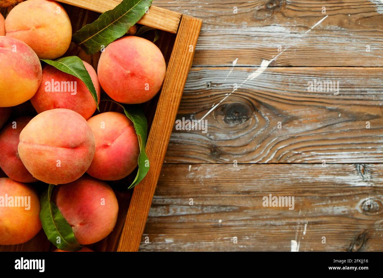 Bunch of ripe organic peaches in pile on wooden tray with rope handles ...