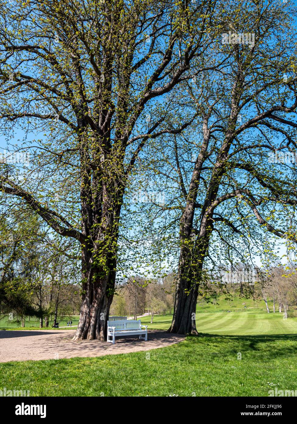 Summer landscape near weimar hi-res stock photography and images - Alamy