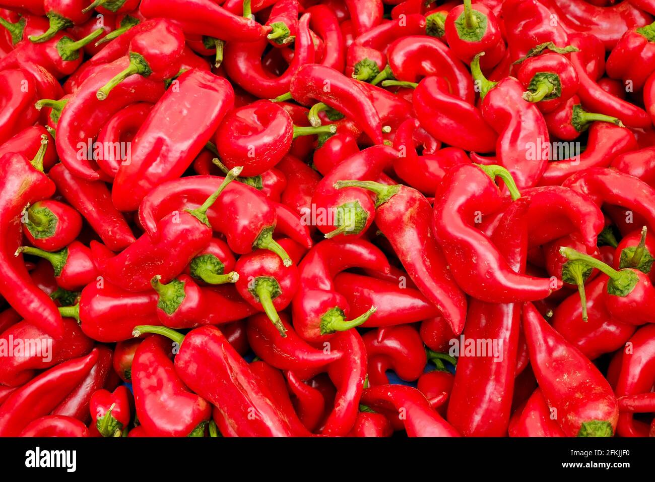 Clean eating concept. Juicy all natural sweet red kapia peppers stack ...