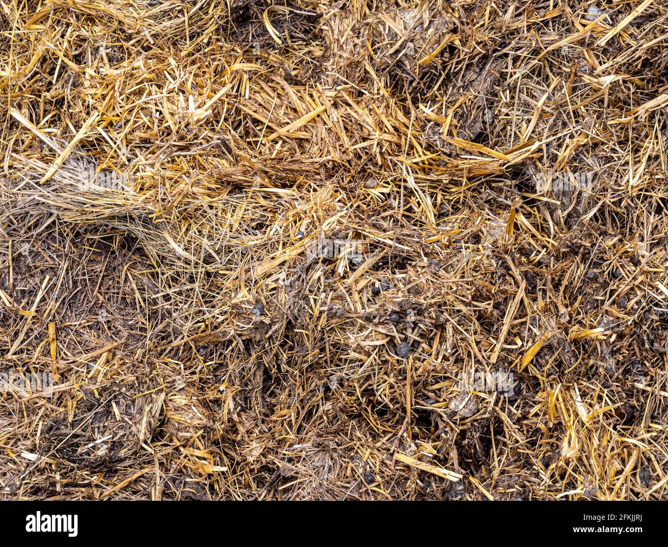 Horse manure texture on a farm Stock Photo - Alamy