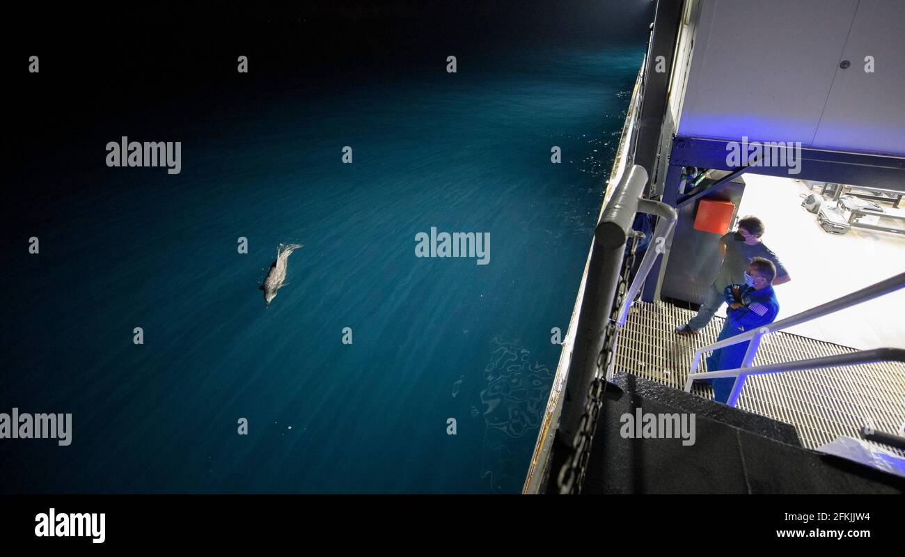 Iss first crew 1 hi-res stock photography and images - Alamy