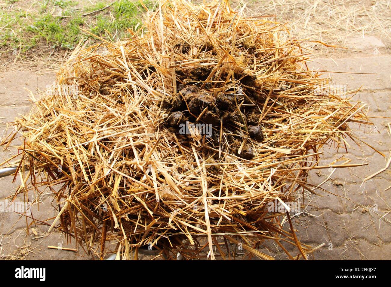 Crap farming hi-res stock photography and images - Alamy