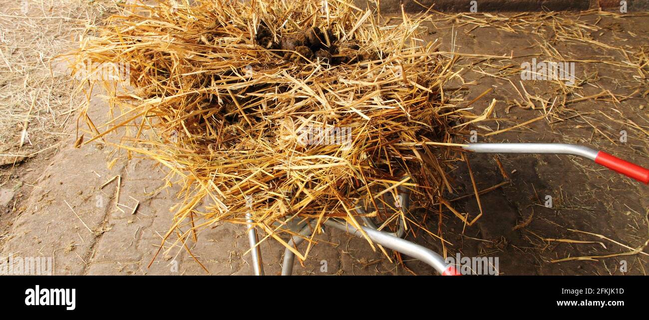 a wheelbarrow full of crap Stock Photo - Alamy
