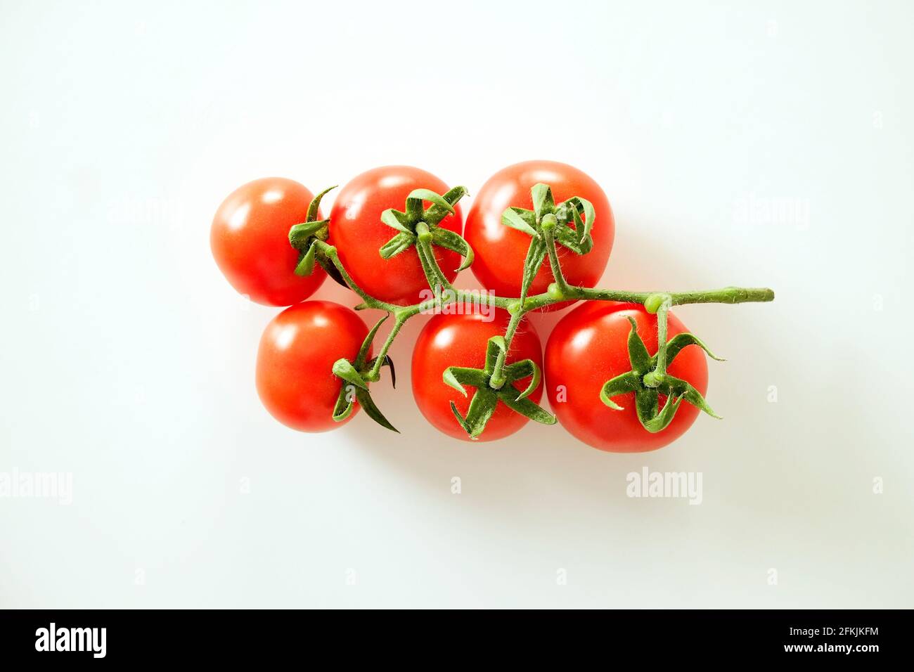 Branch of juicy organic red cherry tomatoes arranged in row on isolated white background ...