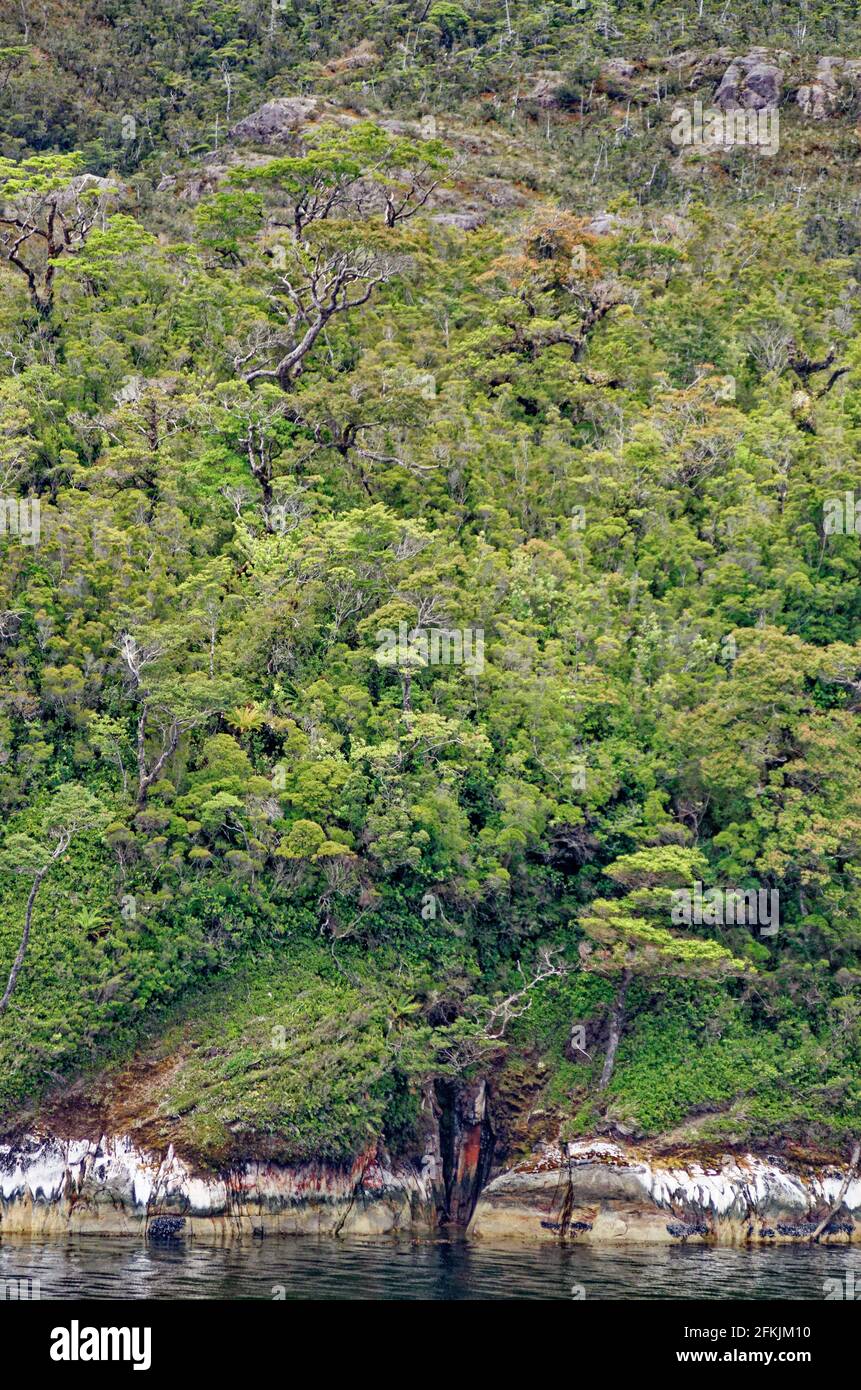 Cruising in Glacier Alley, Darwin Channel - Patagonia - Landscape of ...