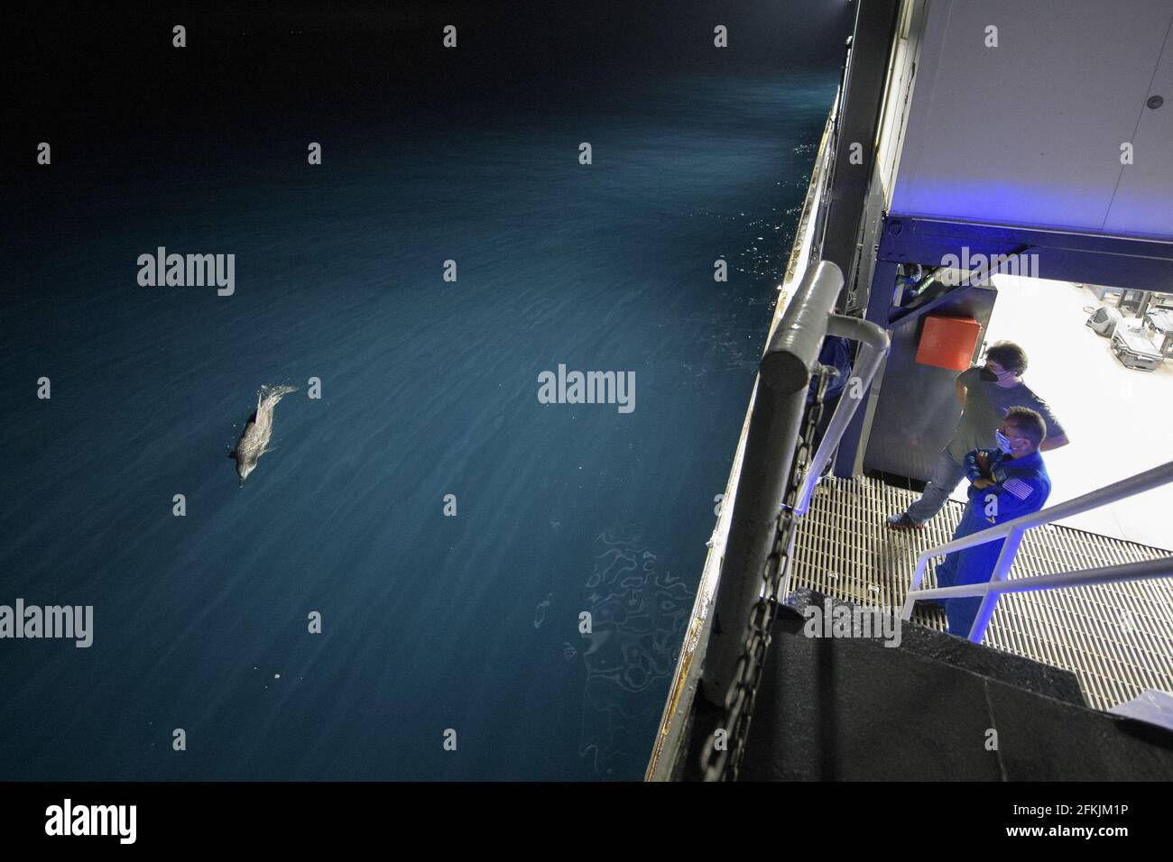 Bill spetch hi-res stock photography and images - Alamy