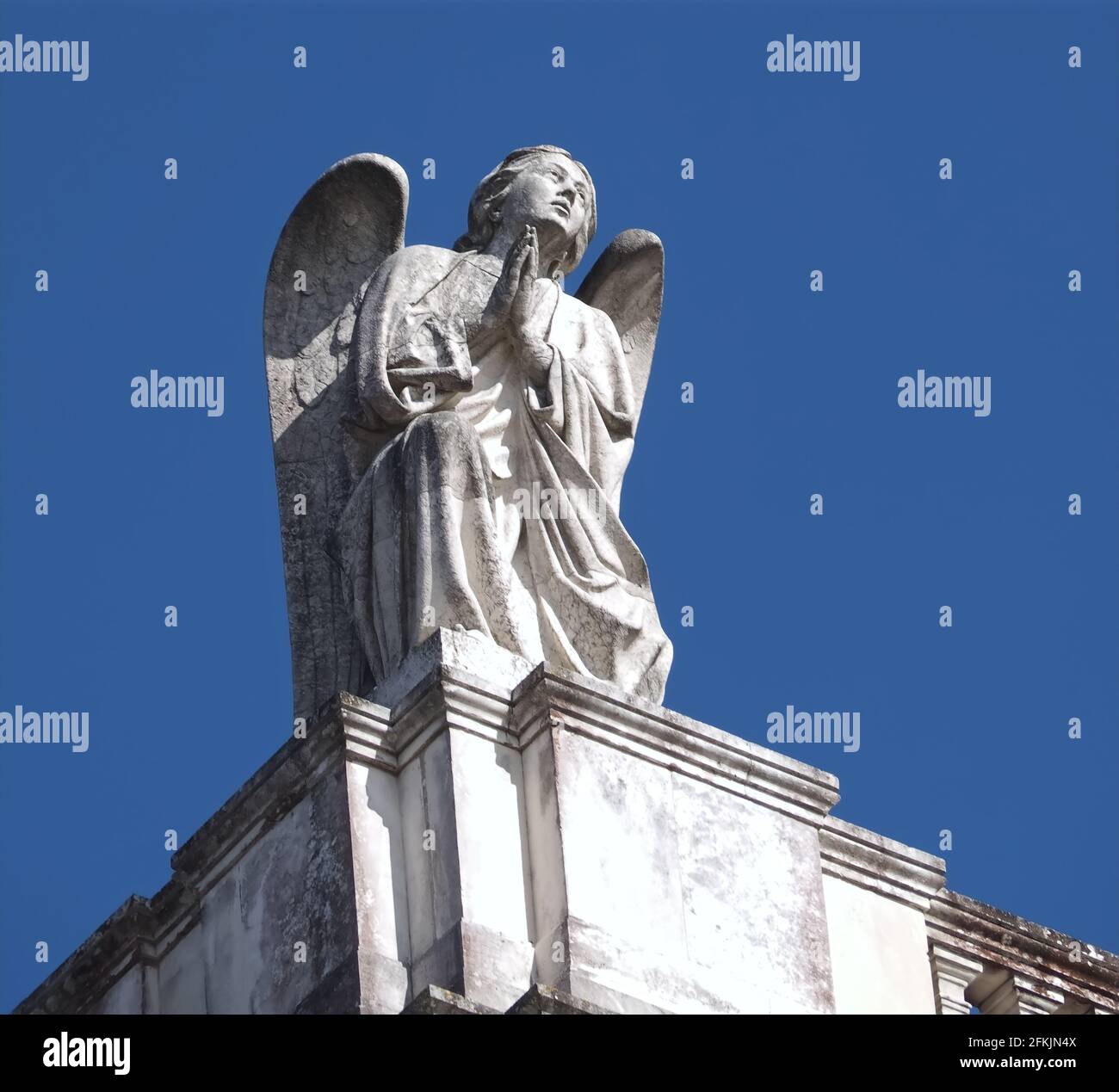 Sculpture angel on facade cathedral hi-res stock photography and images ...