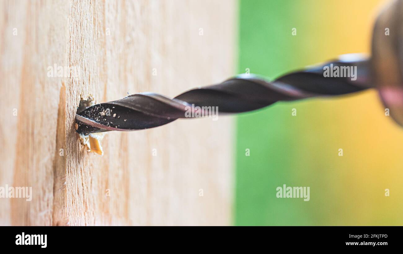 Do it yourself home handyman is using a drill for drilling wood Stock ...