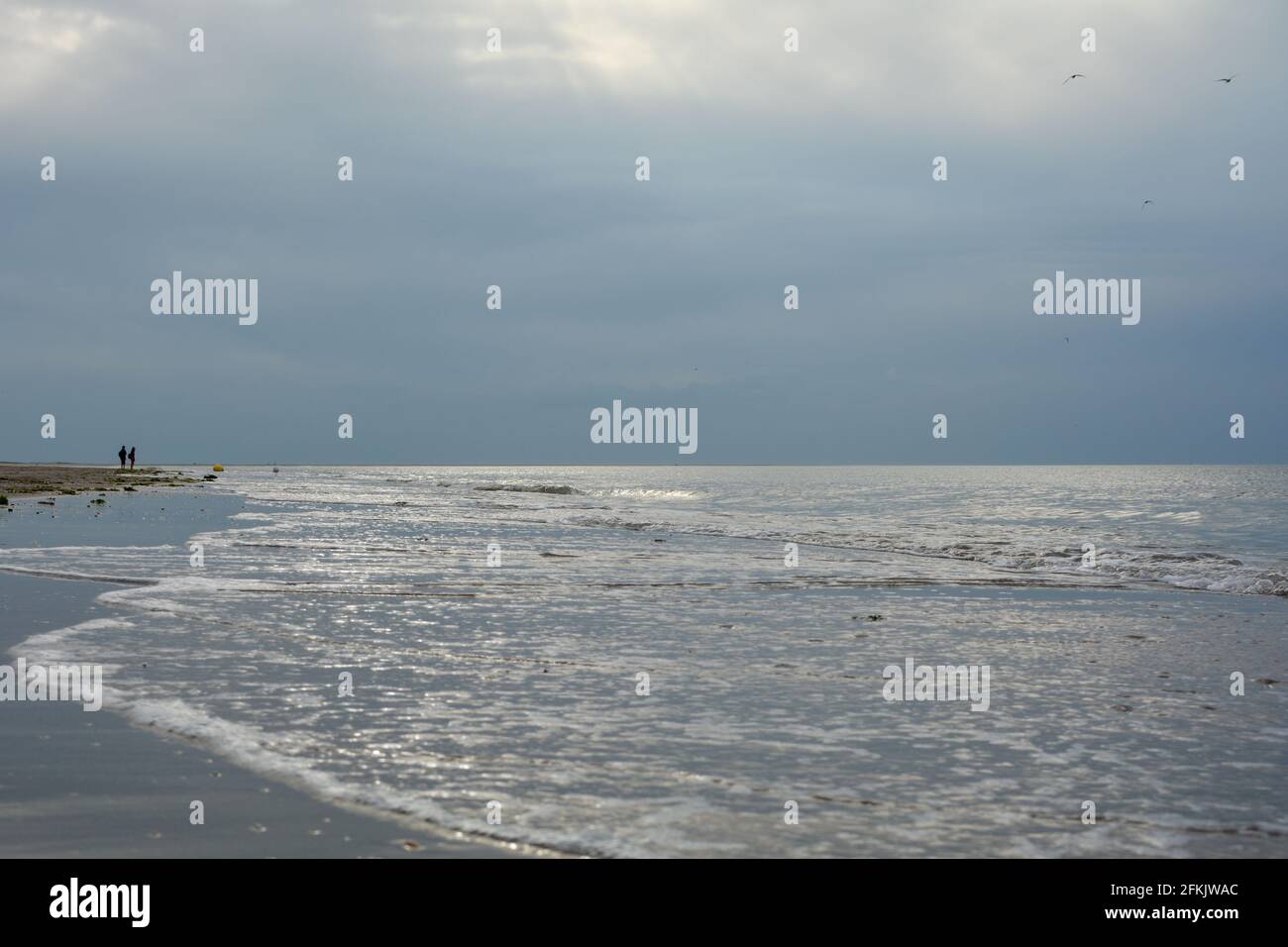 Evening walk on a sandy beach on the North Sea coast with cloudy skies ...