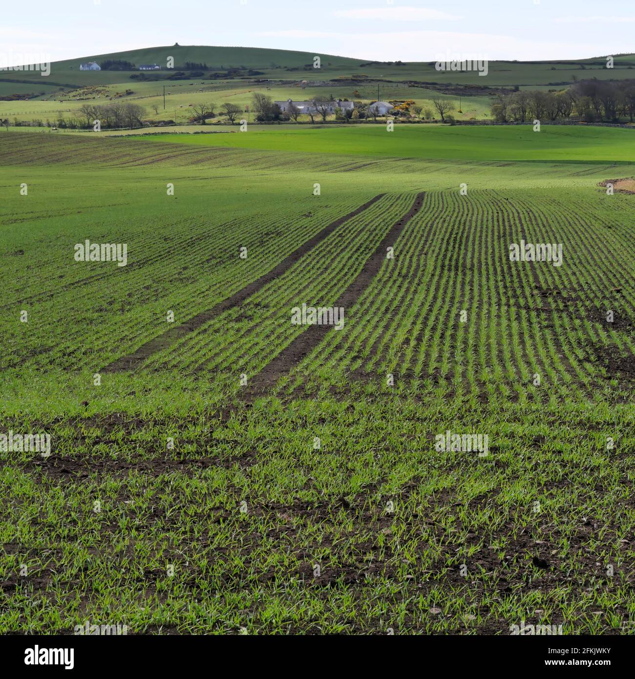 Mull soil hi-res stock photography and images - Alamy