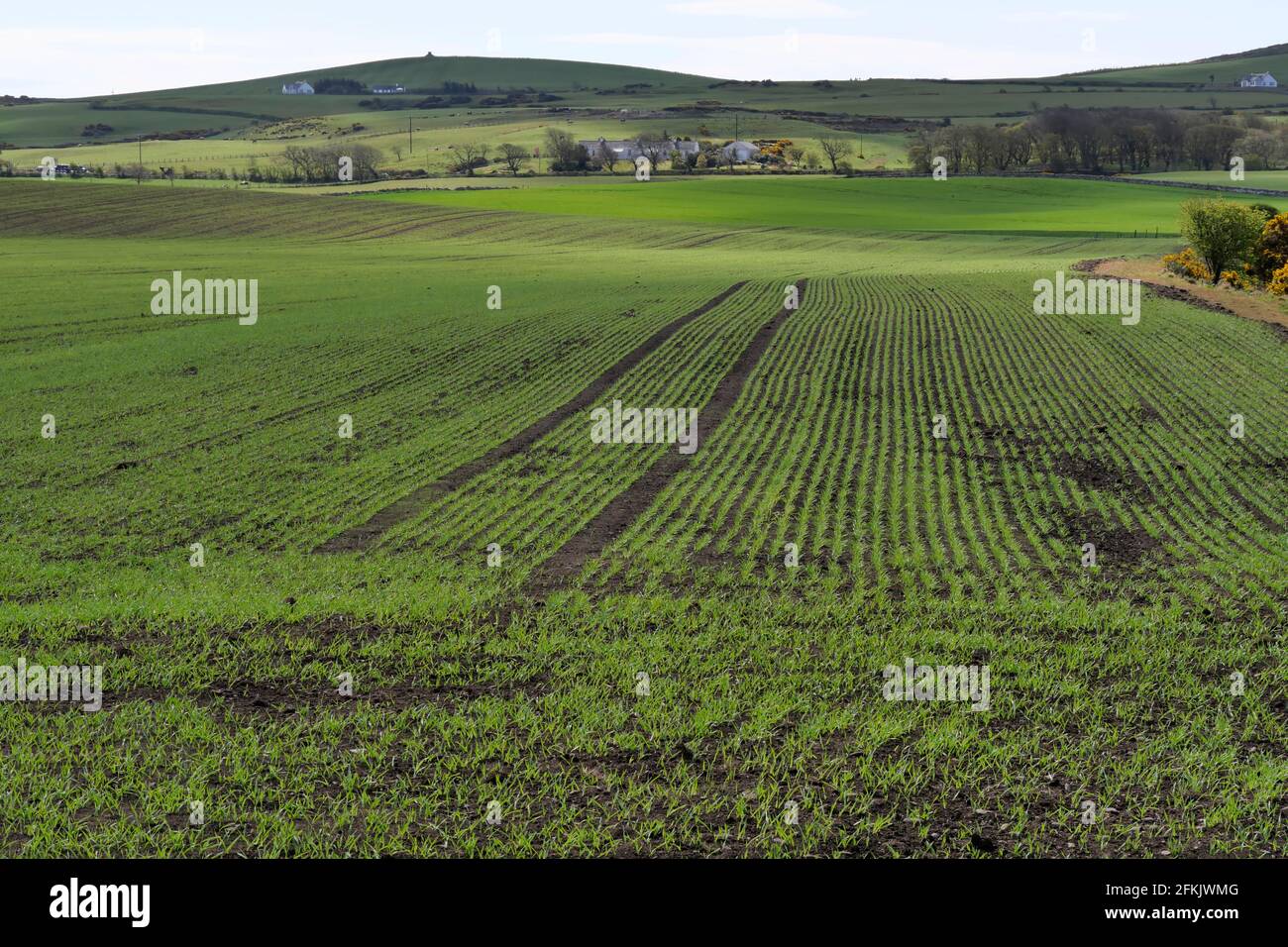 Mull soil hi-res stock photography and images - Alamy