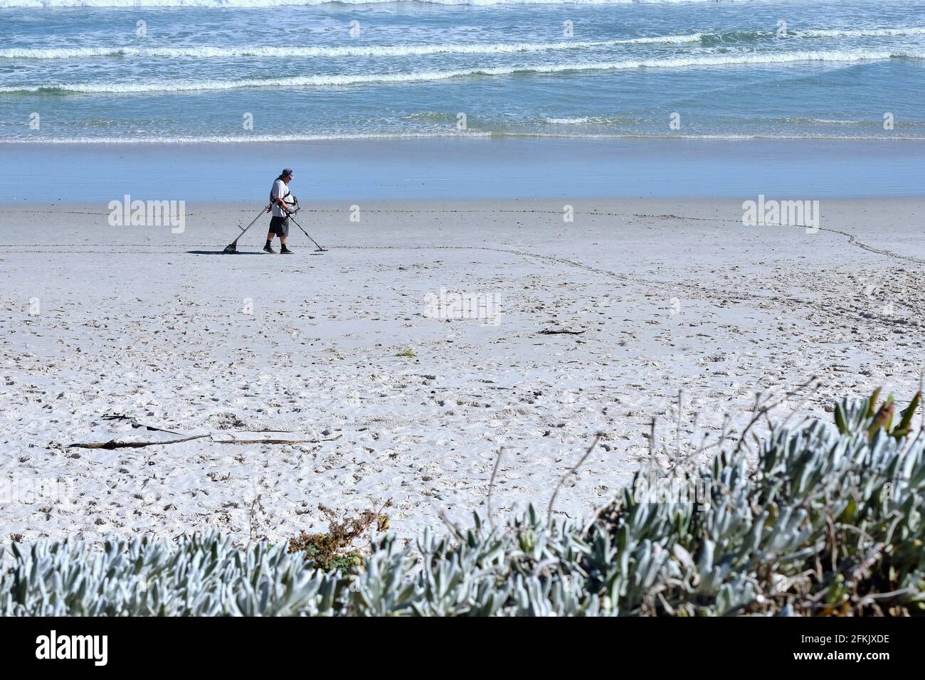 Single detectorist hi-res stock photography and images - Alamy
