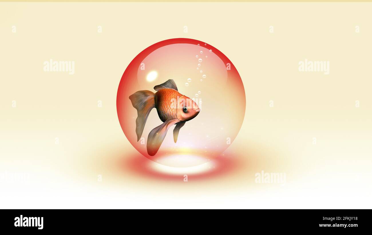 Fish inside bubble. 3d rendering Stock Photo - Alamy