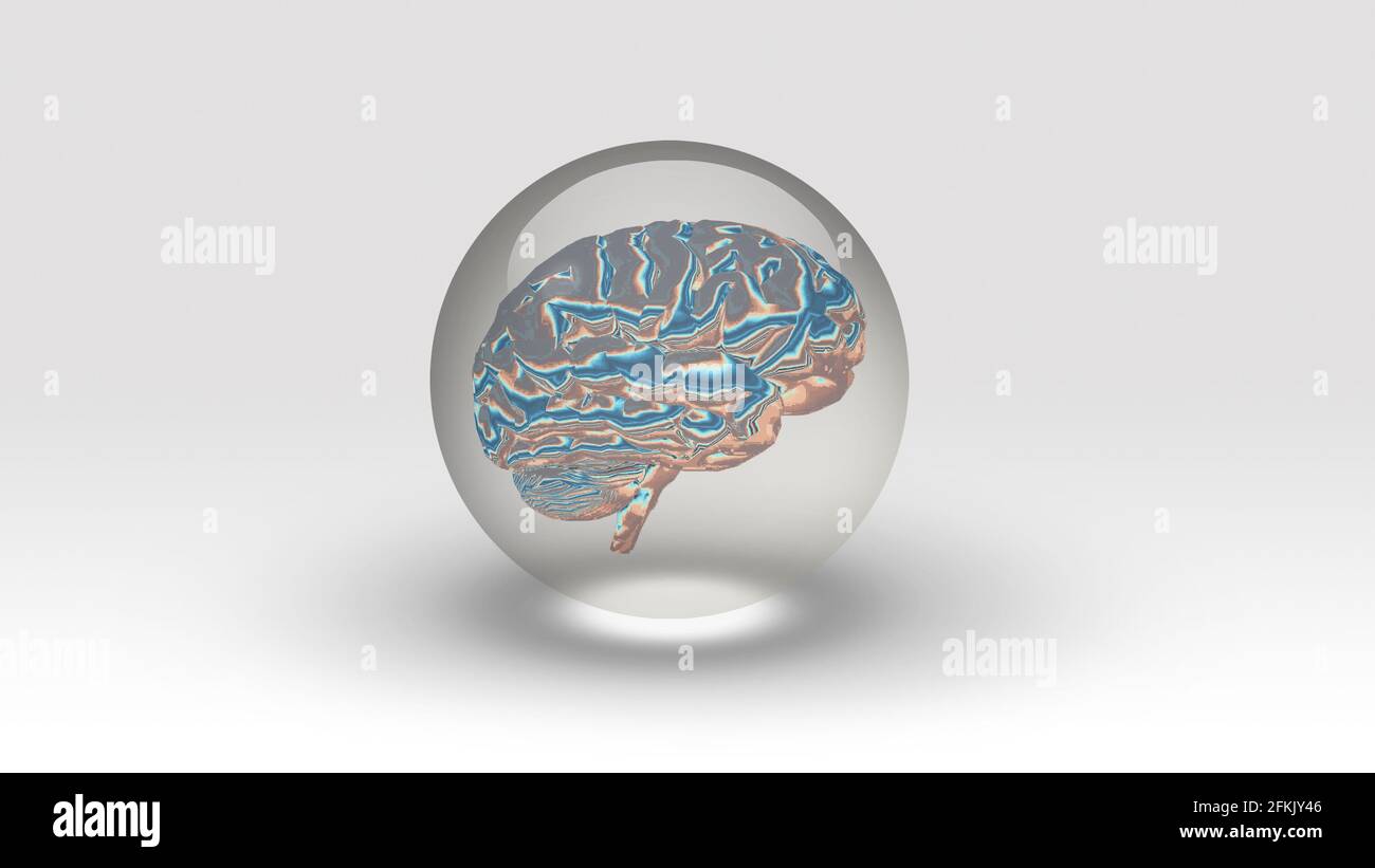 Brain inside bubble. 3d rendering Stock Photo - Alamy