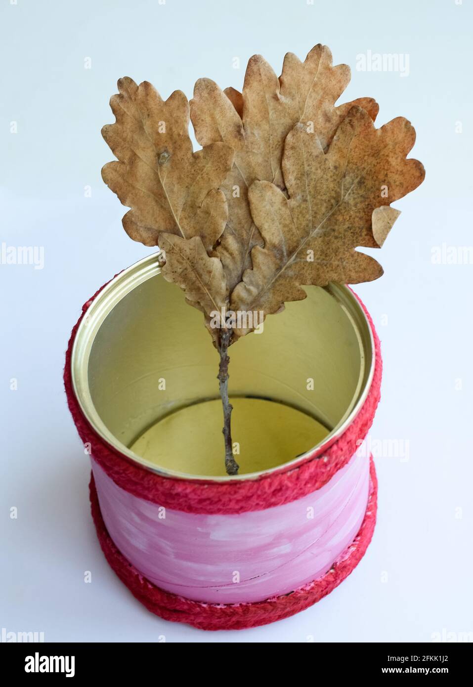 Sprig dry oak leaves hi-res stock photography and images - Alamy