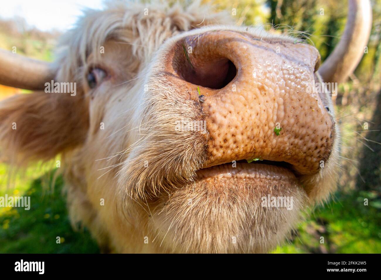 Smelling the camera lens hi-res stock photography and images - Alamy