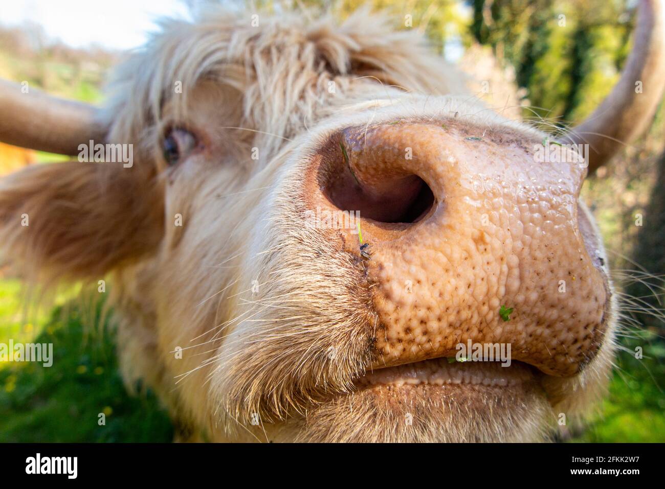 Smelling The Camera Lens High Resolution Stock Photography and Images ...