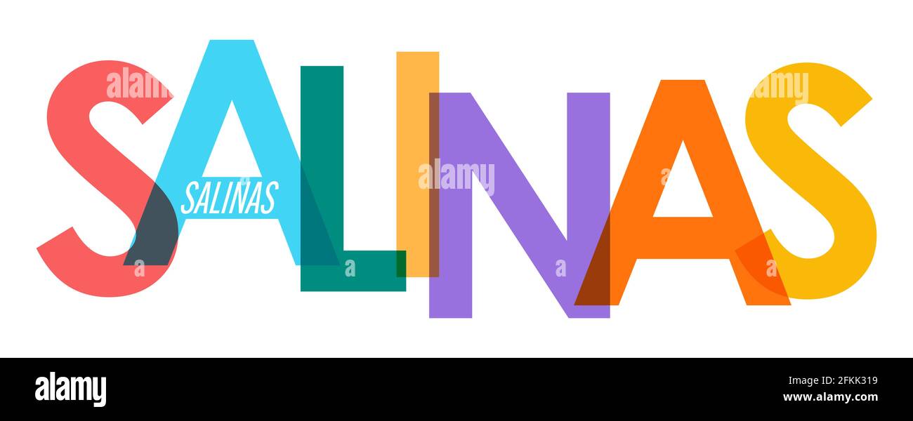 SALINAS. The name of the city on a white background. Vector design ...