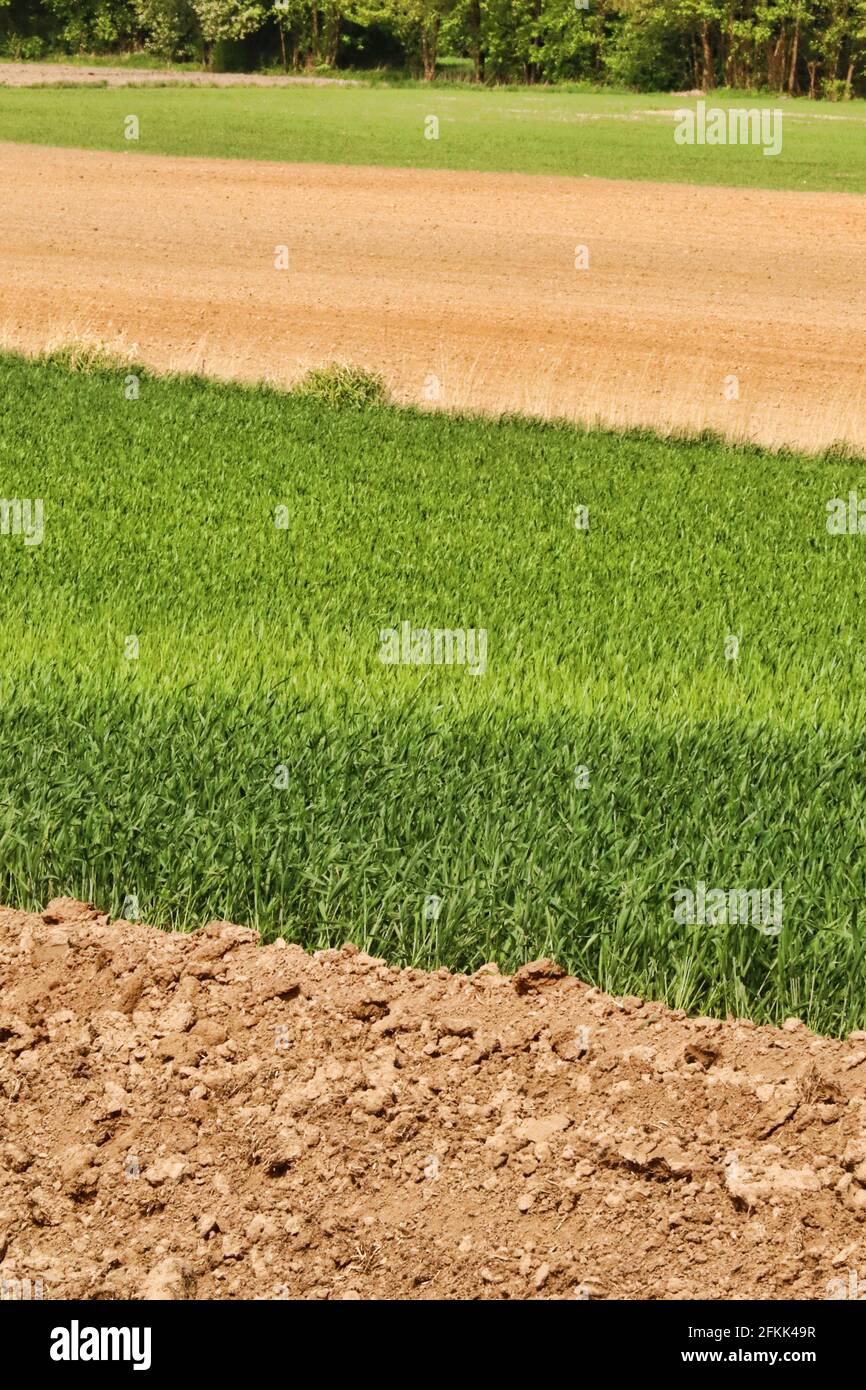 Field pattern hi-res stock photography and images - Alamy