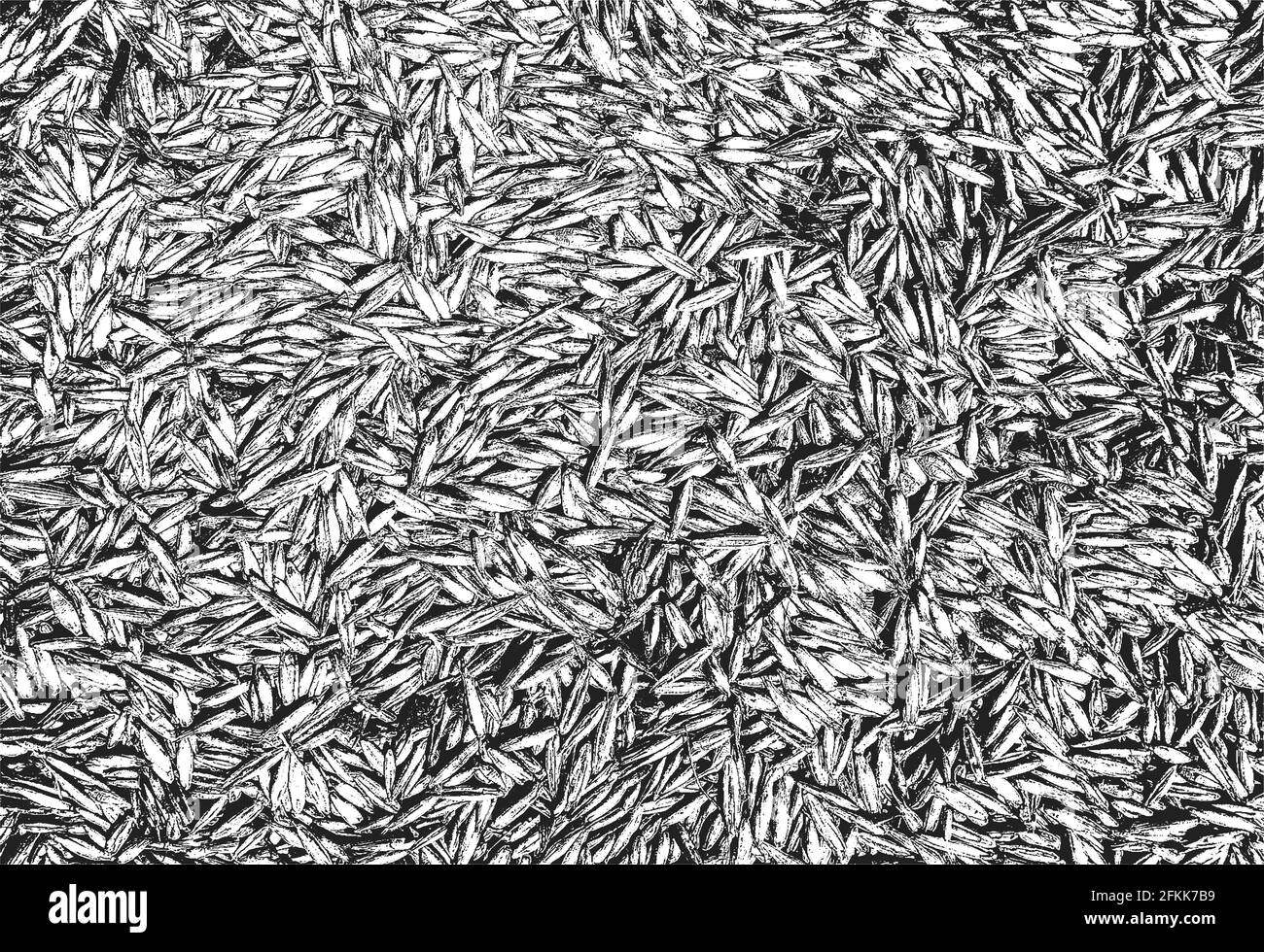 Wheat husk Stock Vector Images - Alamy