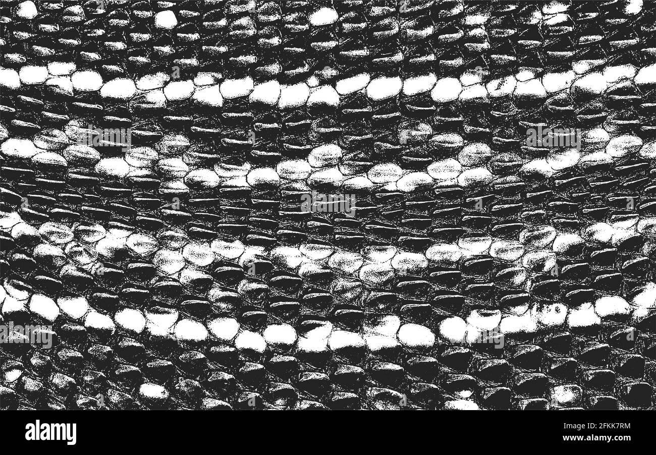 Vintage crocodile dress Black and White Stock Photos & Images - Alamy