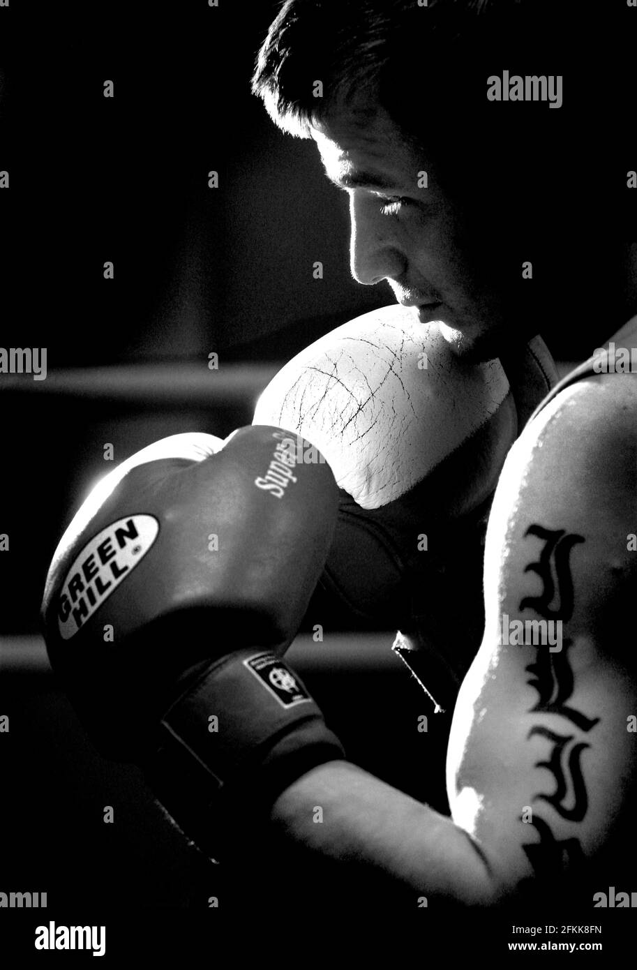 Boxer Naim Terbunja, Linköping, Sweden Stock Photo - Alamy