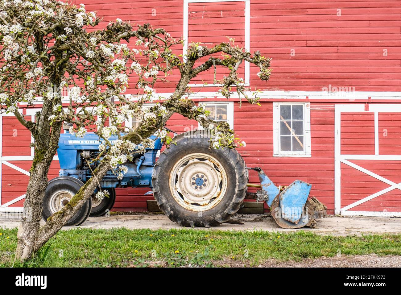 Backend hi-res stock photography and images - Alamy