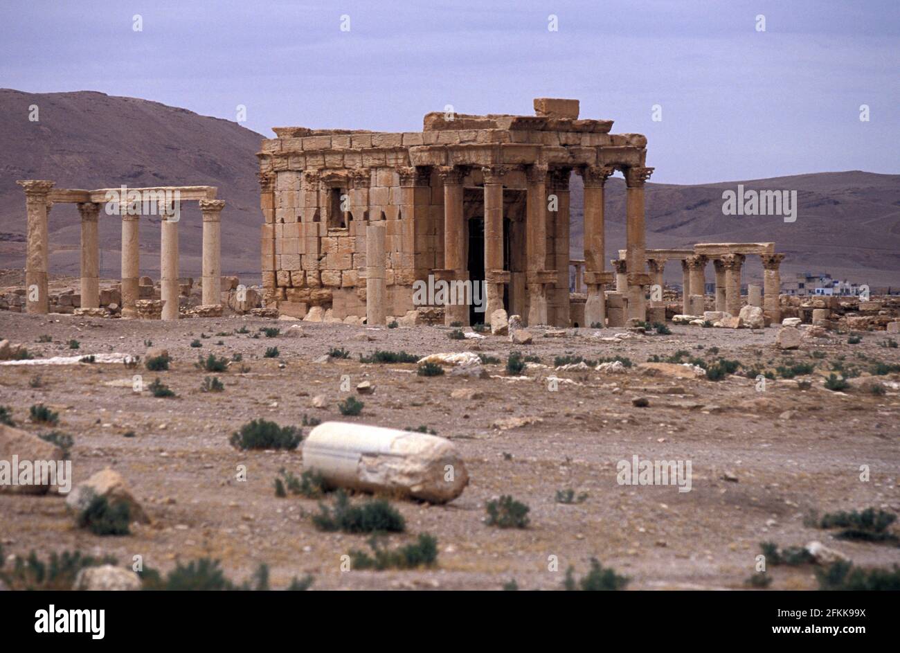Temple of Bel-Shamin, Palmyra, Syria Stock Photo - Alamy